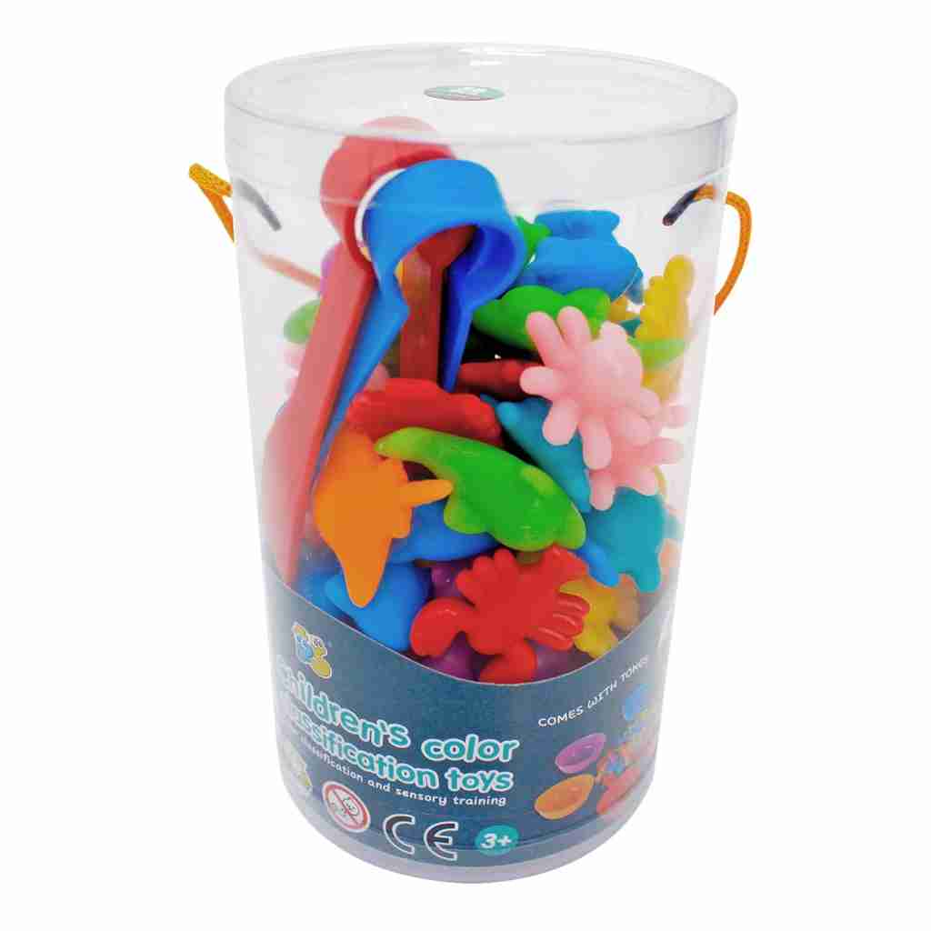 JUEGO DE CLASIFICACION COLOR 6 MOTIVOS | Chicos